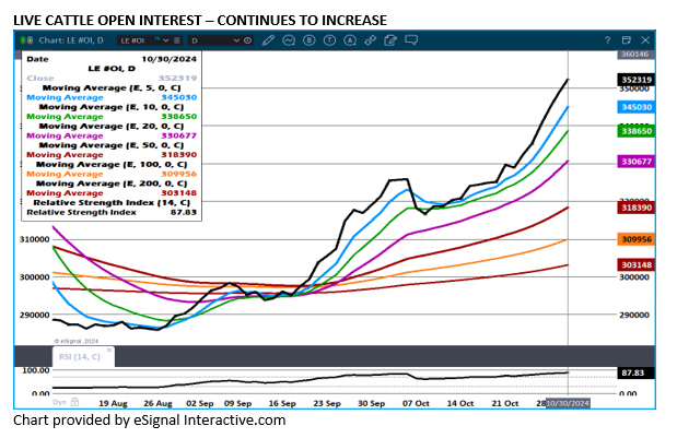 Increasing Open Interest on Live Cattle - Archer Financial Services