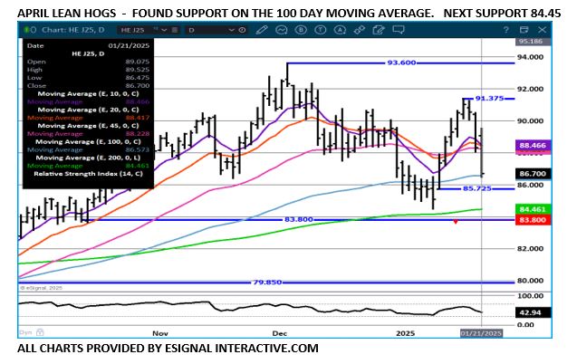 Feb LH & CME Lean Hog Index Converge - Archer Financial Services